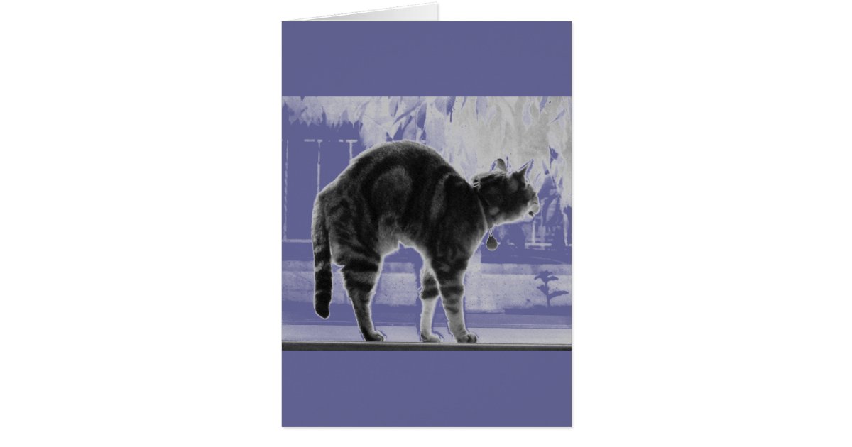 Stretching Indigo Pencil | Zazzle