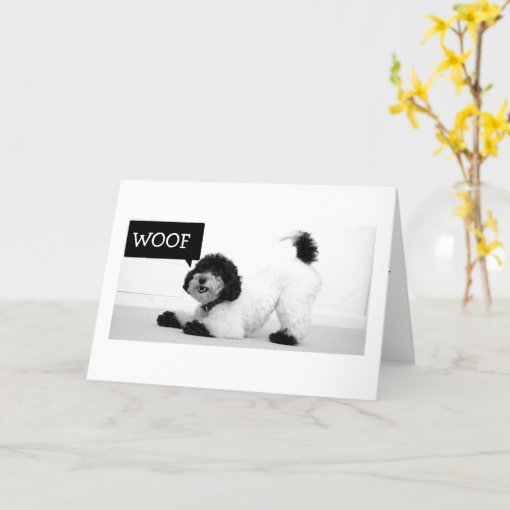STRETCHING PUP WANTS TO JUMP FOR JOY BIRTHDAY CARD | Zazzle