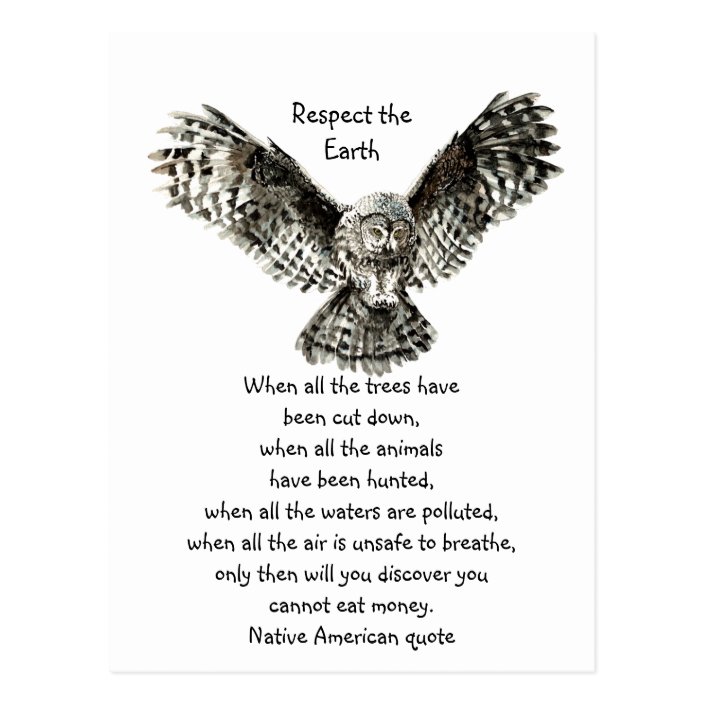 Striking Owl Respect Earth Native American Quote Postcard | Zazzle.com