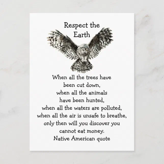 Striking Owl Respect the Earth Native American Postcard | Zazzle
