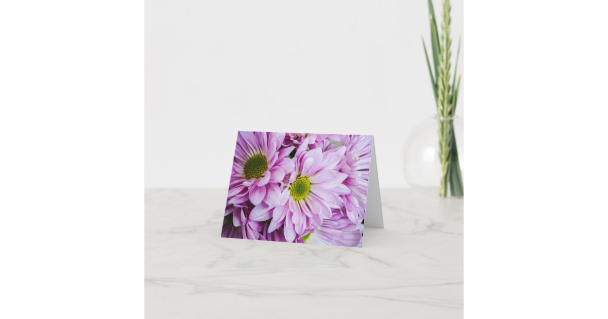 Striking Purple Daisies Card | Zazzle