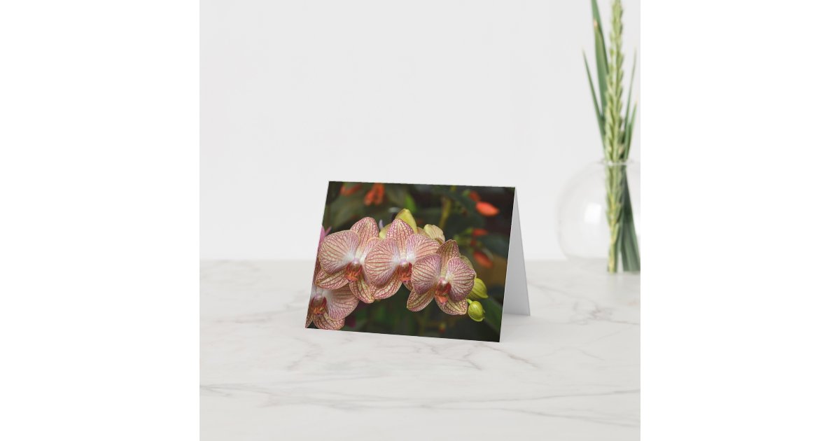 Striking String Of Orchids Note Card | Zazzle