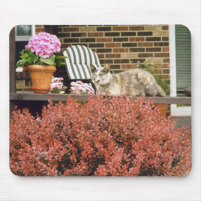 Strinka Mouse Pad | Zazzle