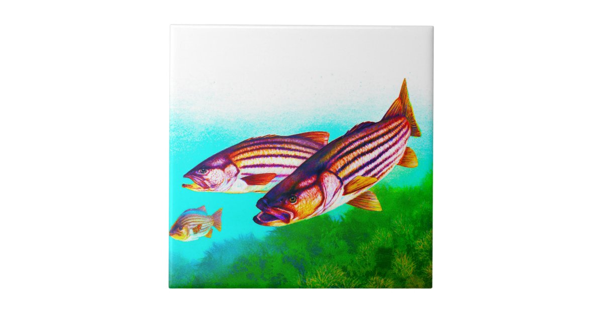 Striped Bass Atlantic Striper Ceramic Tile | Zazzle