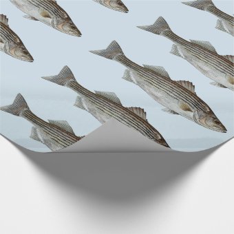 Striped Bass Fish Pattern Wrapping Paper | Zazzle