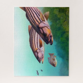 Striped Bass Jigsaw Puzzle | Zazzle