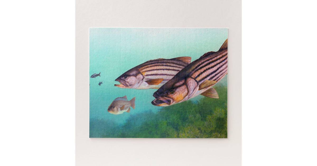 Striped Bass Jigsaw Puzzle | Zazzle