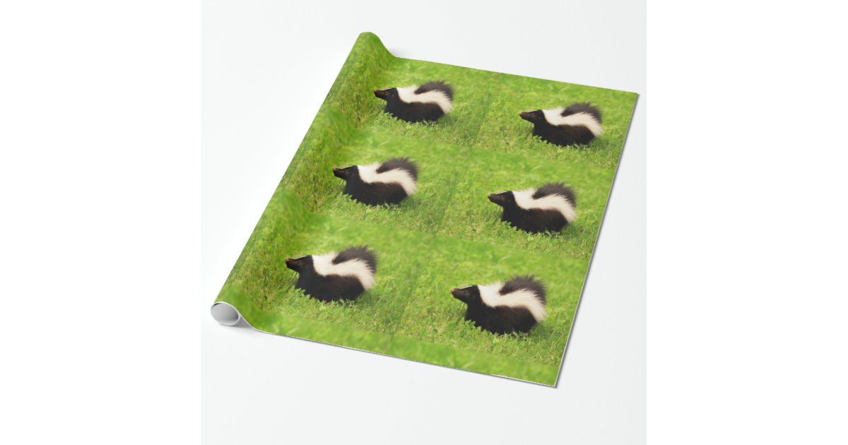 Striped Skunk Wrapping Paper | Zazzle