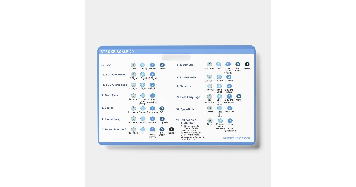 Stroke Scale Badge Companion | Zazzle