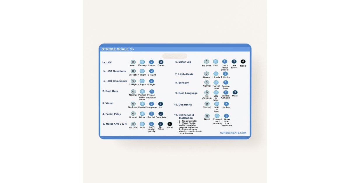 Stroke Scale Badge Companion | Zazzle