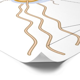 Structure of a bacterial cell poster | Zazzle