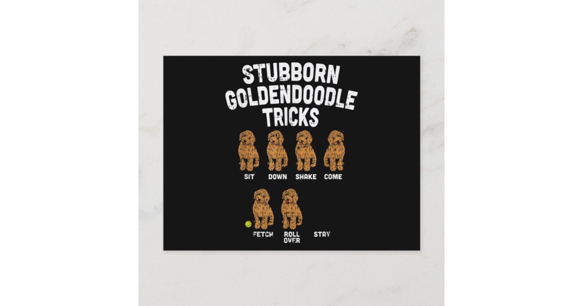 Stubborn Goldendoodle Tricks Funny Dog Trainer Mom Postcard | Zazzle