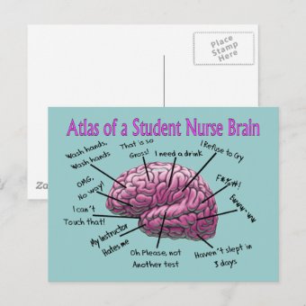 Student Nurse Gifts Postcard | Zazzle