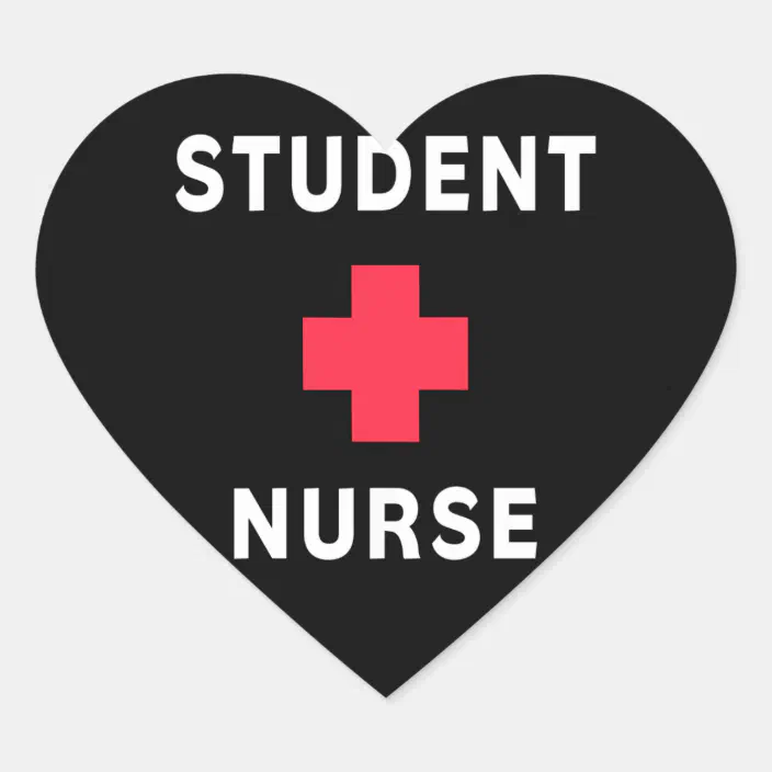 Papercraft Medical Student Anatomical Heart Sticker Cardiac Medical ...