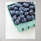 Blueberries Poster | Zazzle.com