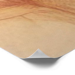 Study for The Lady Clare Poster | Zazzle