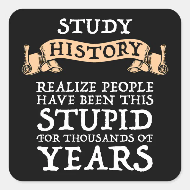 Study History - Realize People Have Been Stupid Square Sticker | Zazzle