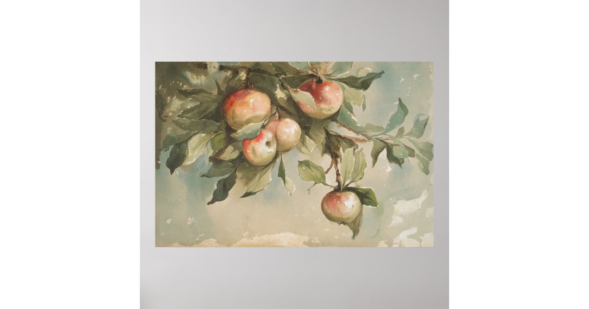 Study of Apples Vintage Watercolor Painting Poster | Zazzle