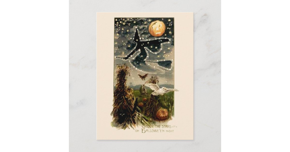 Study the Stars on Halloween Night- Postcard | Zazzle