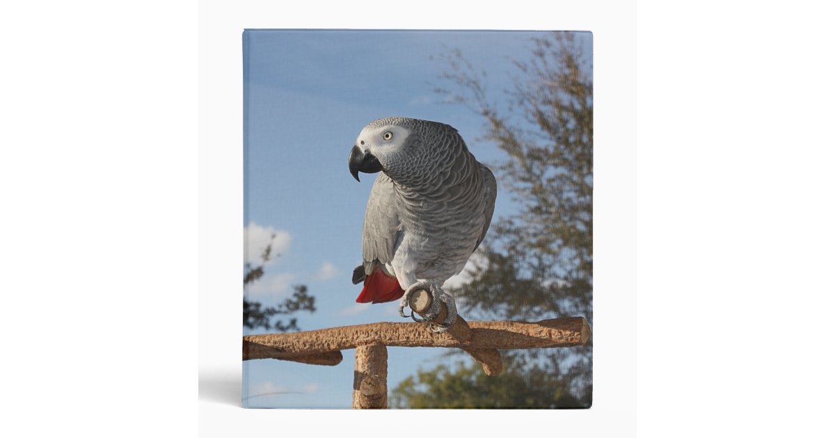 Stunning African Grey Parrot Binder | Zazzle