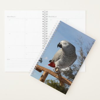 Stunning African Grey Parrot Planner | Zazzle