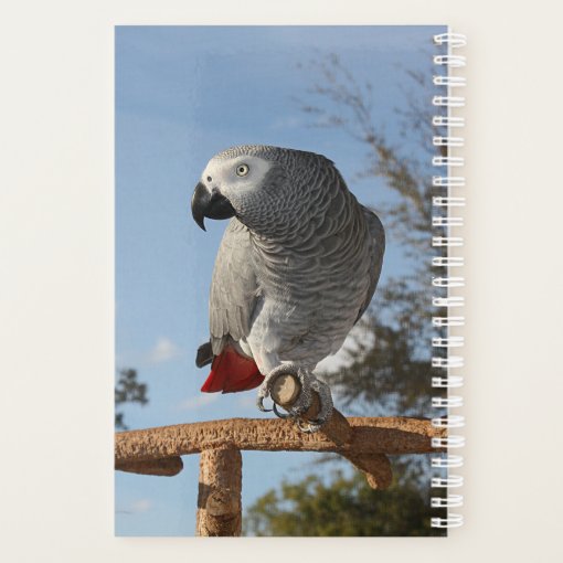 Stunning African Grey Parrot Planner | Zazzle