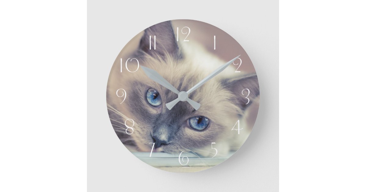 Stunning Blue Eyed Ragdoll‎ Cat Round Clock | Zazzle