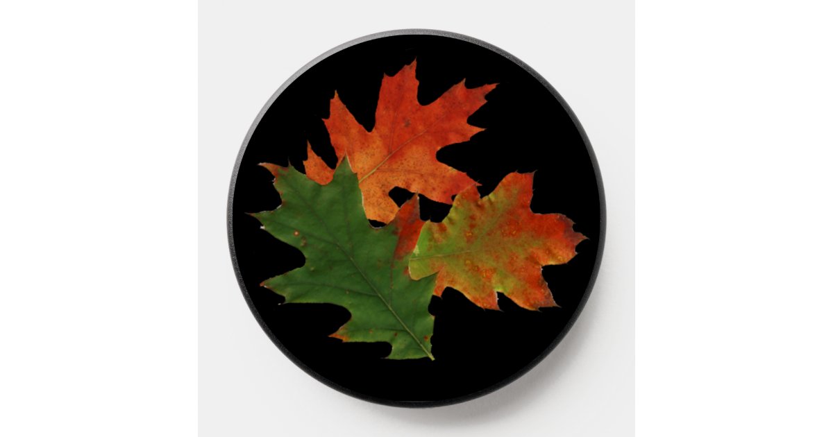 Stunning Fall Colors From Oak Leaves PopSocket | Zazzle