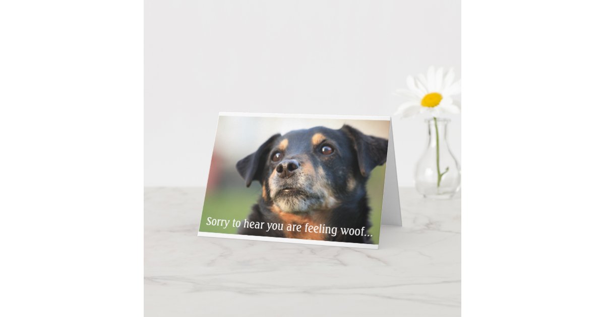 Stunning Get Well Soon Dog Greeting Card | Zazzle