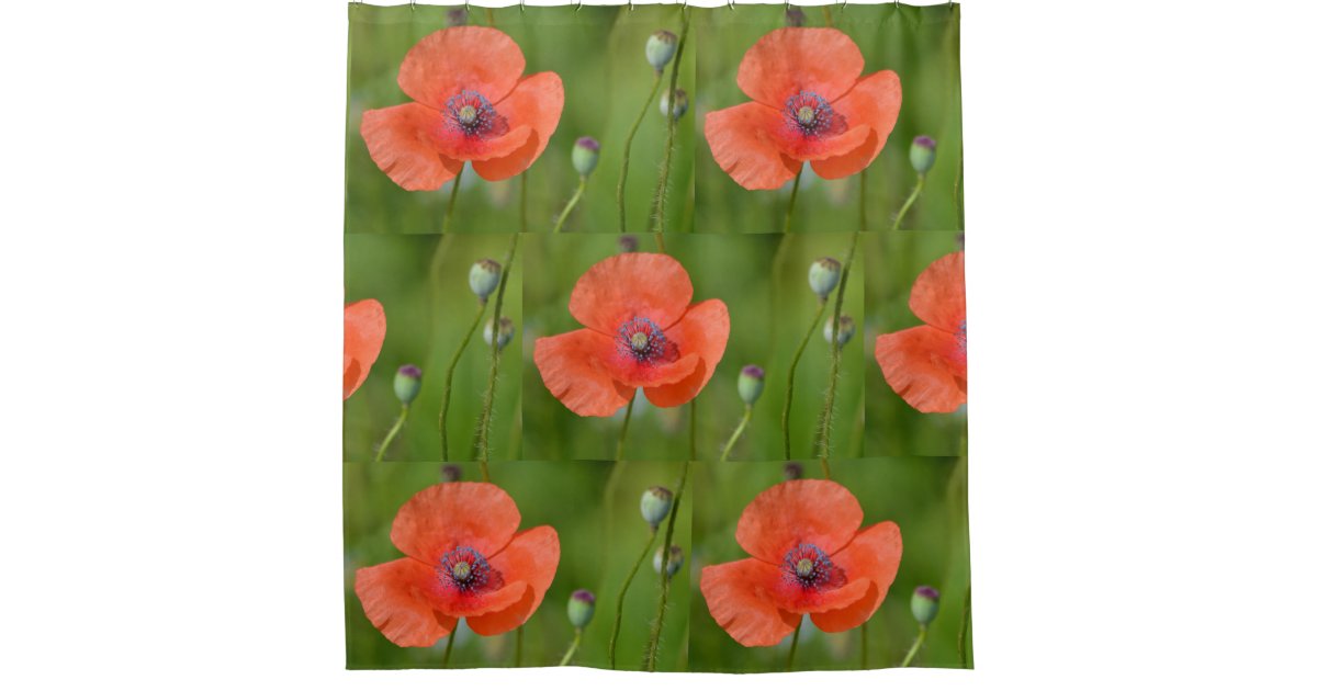 Stunning Red Poppy Shower Curtain | Zazzle