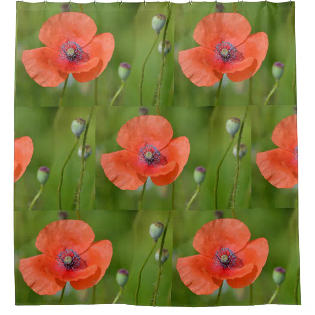 Stunning Red Poppy Shower Curtain | Zazzle