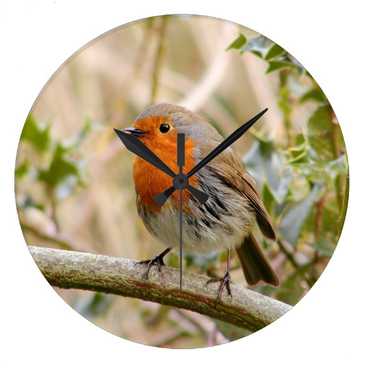 Stunning Robin Large Clock | Zazzle