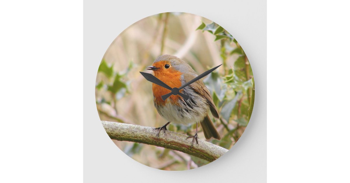 Stunning Robin Large Clock | Zazzle