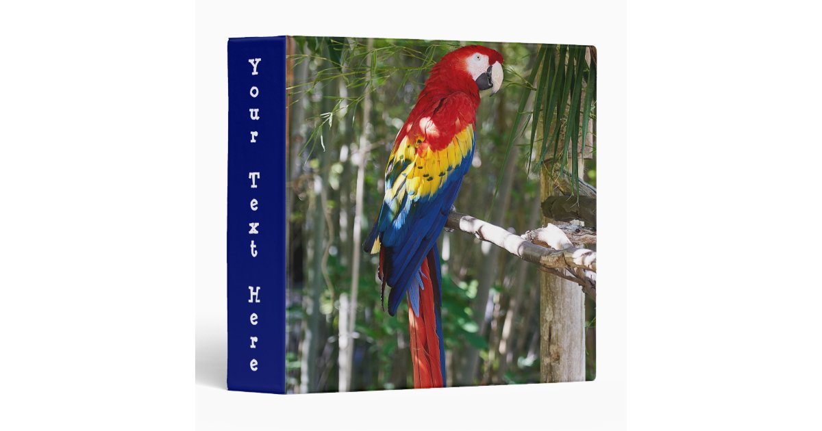 Stunning Scarlet Macaw Parrot 3 Ring Binder | Zazzle