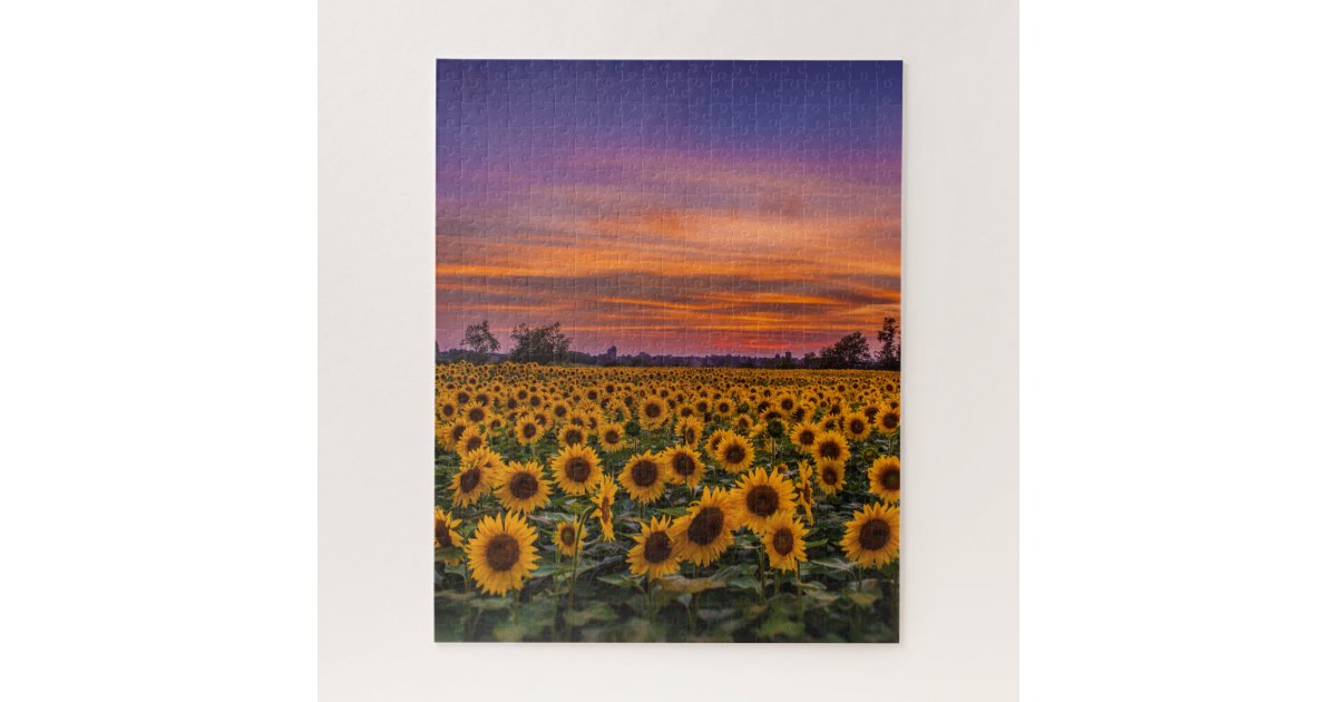 Stunning Sunset Puzzle | Zazzle