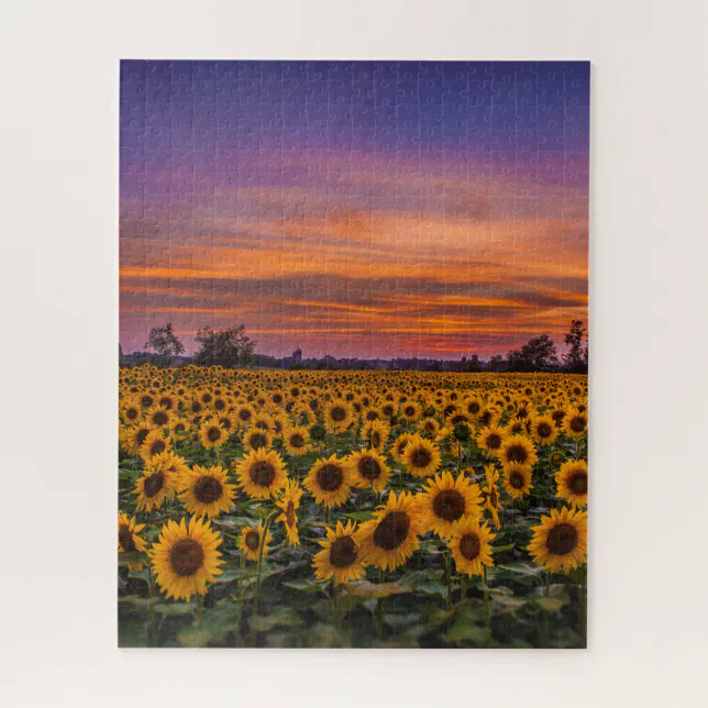 Stunning Sunset Puzzle | Zazzle