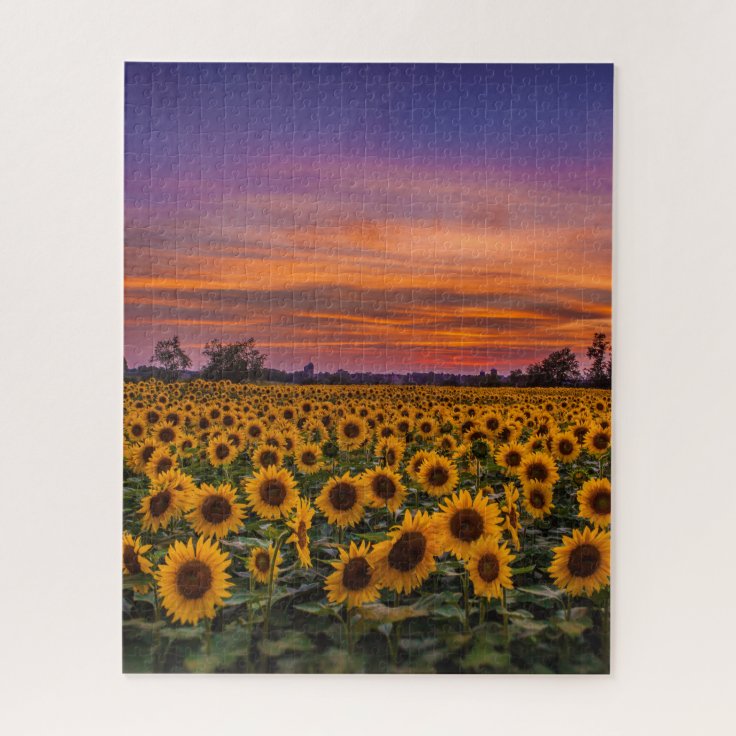 Stunning Sunset Puzzle | Zazzle