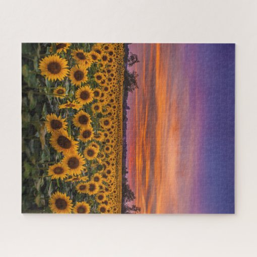 Stunning Sunset Puzzle | Zazzle