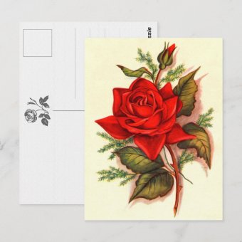 Stunning Victorian Red Roses Bouquet Postcard | Zazzle