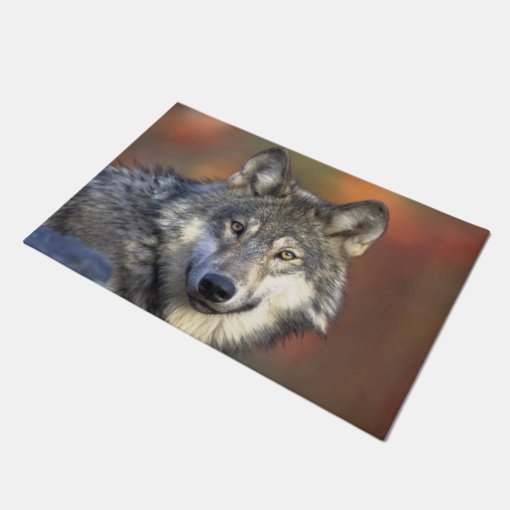 Stunning wolf portrait doormat | Zazzle