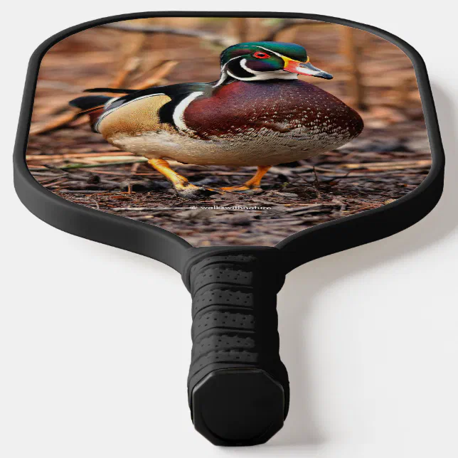 Stunning Wood Duck in the Woods Pickleball Paddle | Zazzle