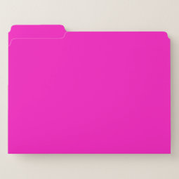 Stunningly Vivacious Pink Color File Folder | Zazzle