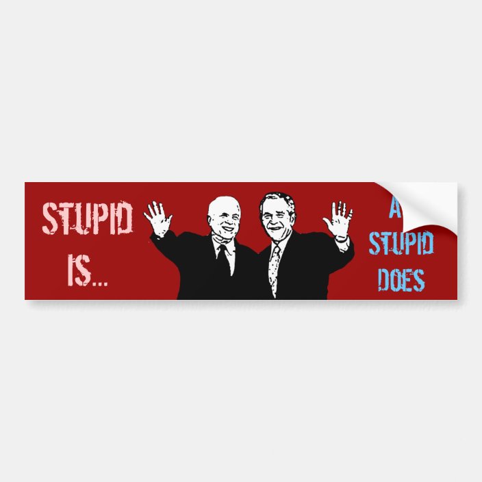 Stupid Is as Stupid Does Bumper Sticker | Zazzle.com