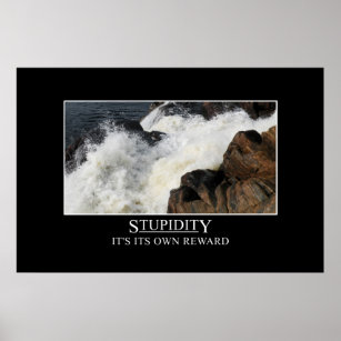 Funny Stupid Quotes Posters & Photo Prints | Zazzle