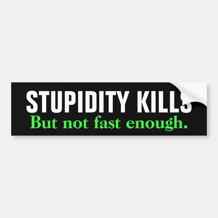 STUPIDITY KILLS But not fast enough. Bumper Sticker | Zazzle.com