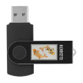 Stylish Gold Koi Fish Flash Drive | Zazzle