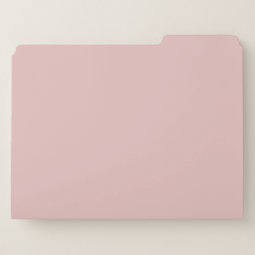 Stylish Monogrammed Name Professional Blush Pink File Folder | Zazzle