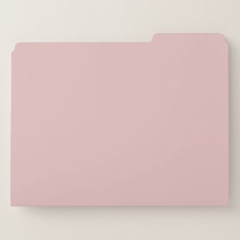 Stylish Monogrammed Name Professional Blush Pink File Folder | Zazzle