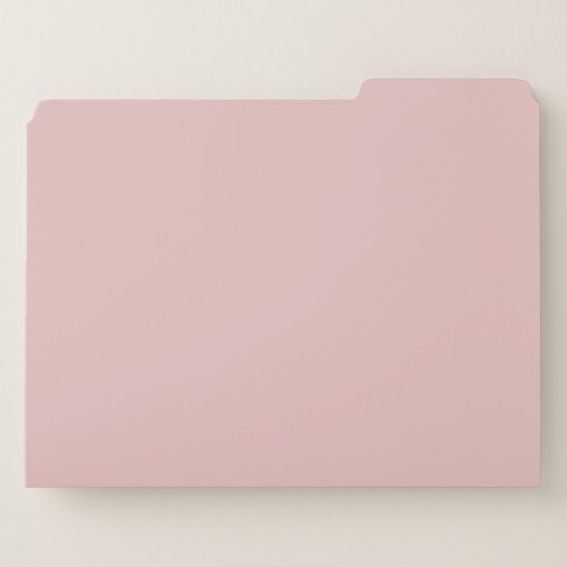 Stylish Monogrammed Name Professional Blush Pink File Folder | Zazzle