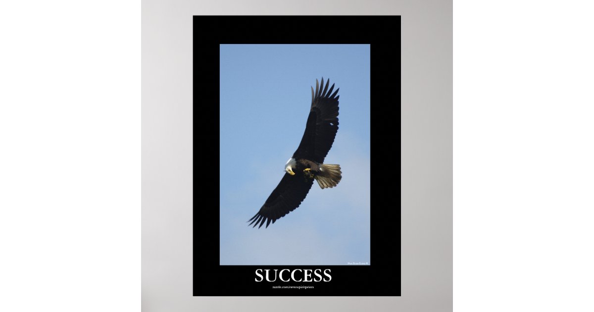 SUCCESS Bald Eagle Motivational Poster | Zazzle